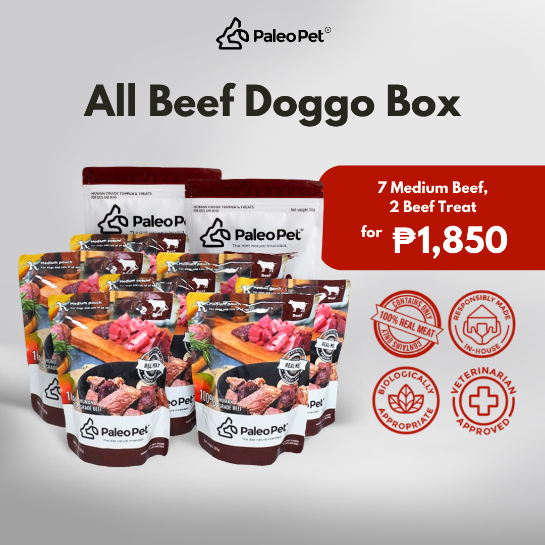 All Beef Doggo Box | Paleo Pet