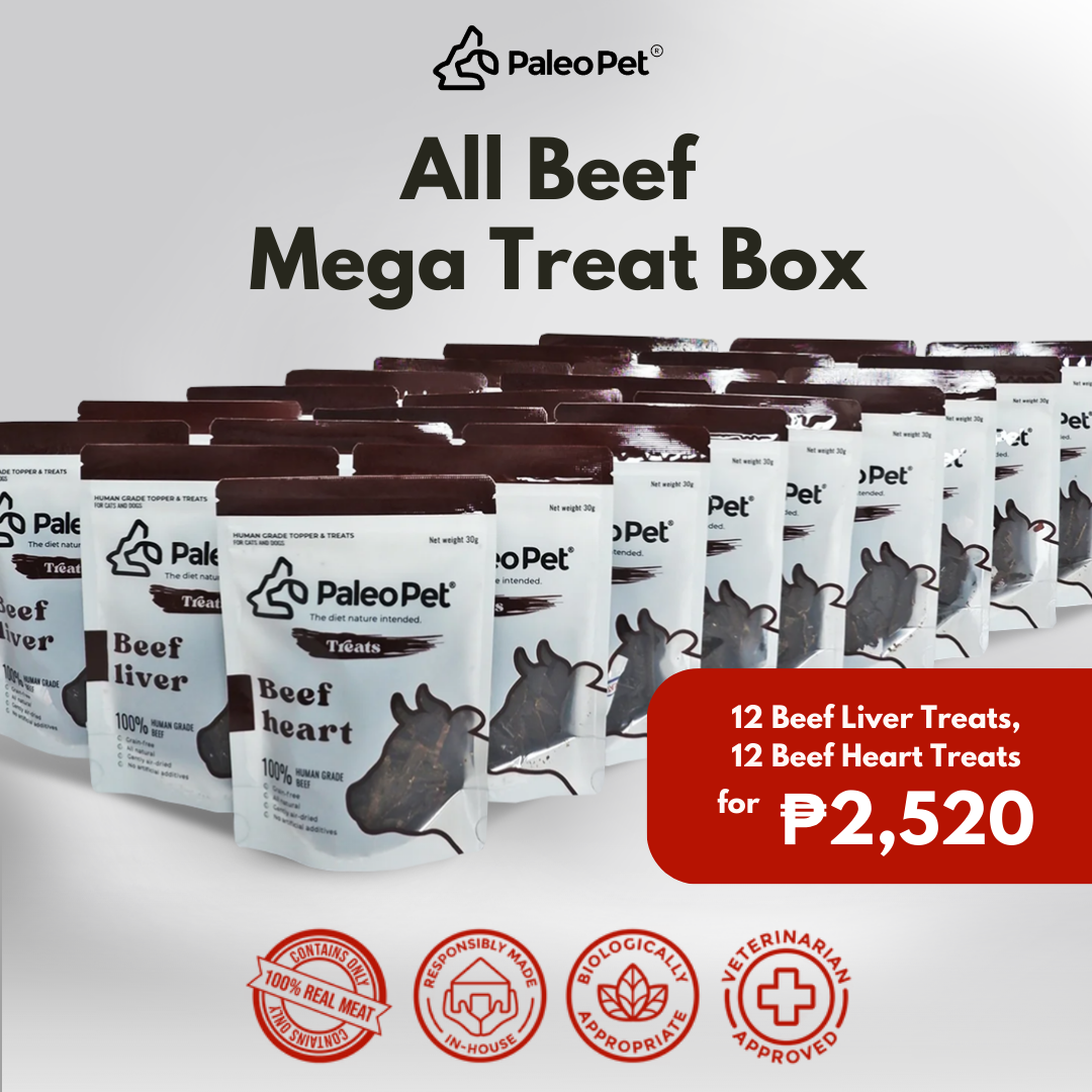 All Beef Mega Treats Box | Paleo Pet