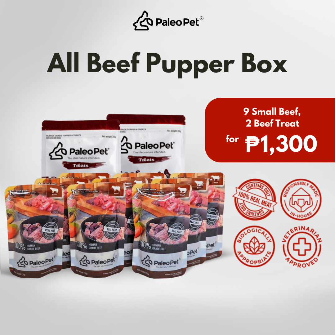 All Beef Pupper Box | Paleo Pet