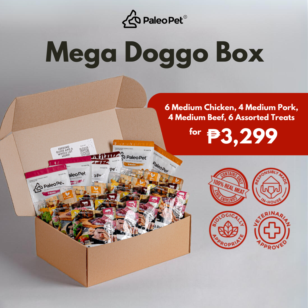 MEGA Doggo Box - Nutritious and Delicious Treats for Your Furbaby ...